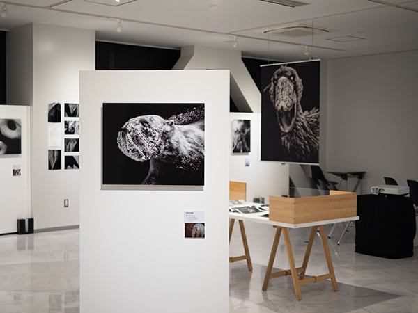 個展最終日: F5.6のモノクローム